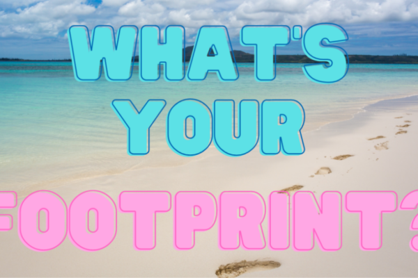 Sustainability Experts - Trayak - Trayak