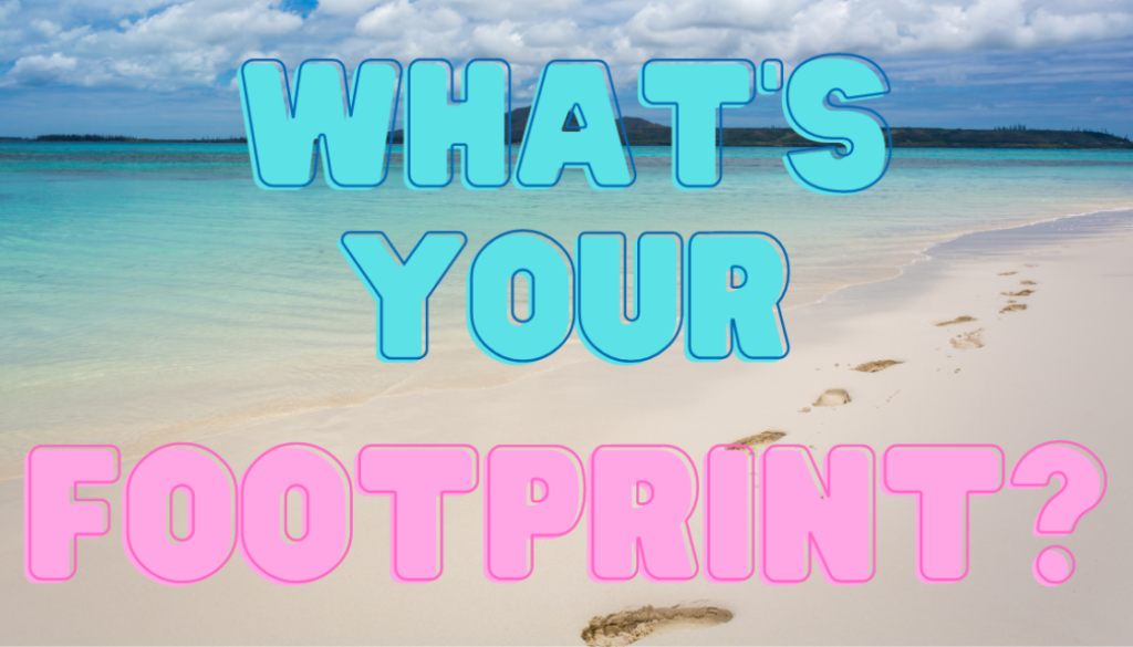 Tips to Reduce Your Carbon Footprint - Trayak