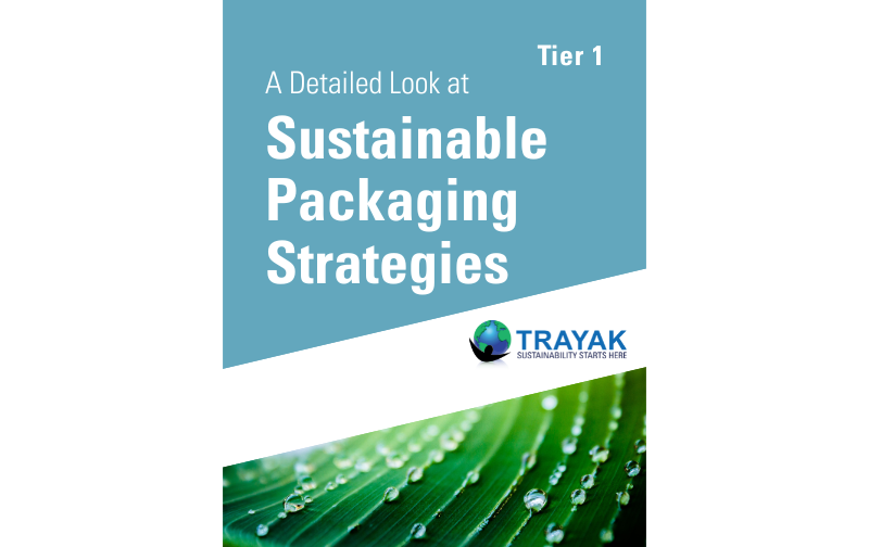 A Detailed Look at Sustainable Packaging Strategies 1 - Trayak